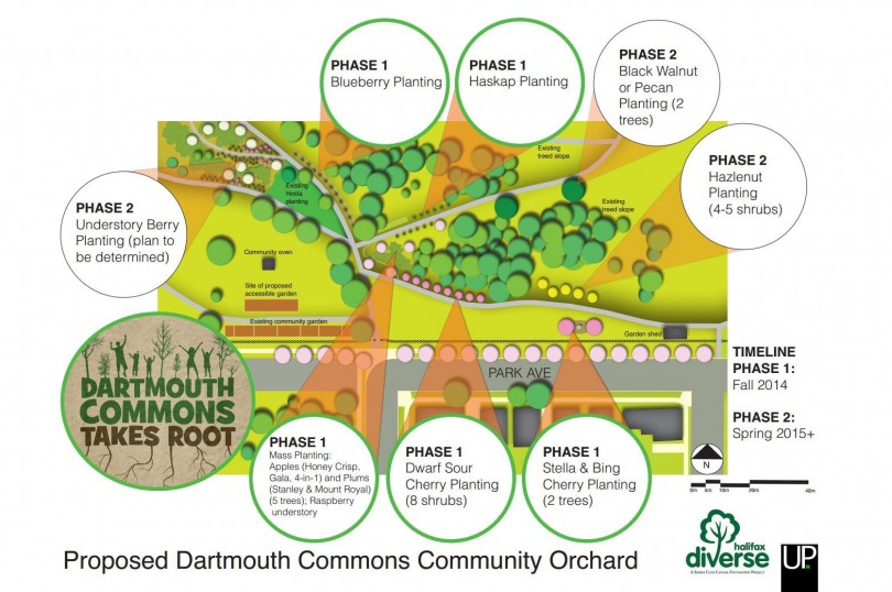 Community Orchard Plans - Hello Dartmouth